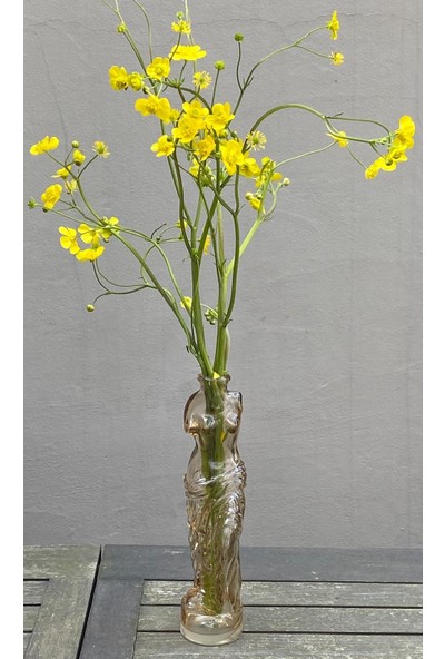 Missi Bal Rengi Venüs Vazo(25 Cm)