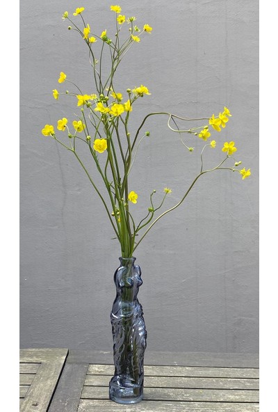 Missi Siyah Cam Venüs Vazo (25 Cm)