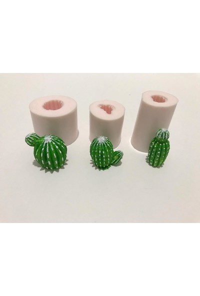 ARICA 3 ' Lü Kaktüs Silikon Kalıbı
