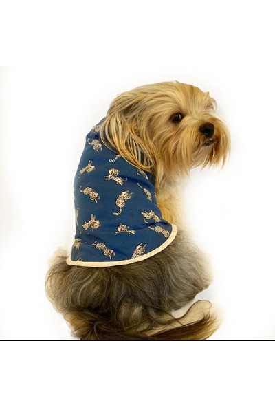 Kemique Blue Leo Atlet Köpek Kıyafeti - Köpek Elbisesi M Kemique Blue Leo Atlet Köpek Kıyafeti - Köpek Elbisesi M