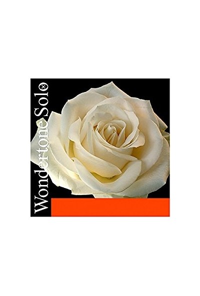 Pirastro Wandertone Set Keman Teli 410521 Pirastro Wandertone Set Keman Teli 410521