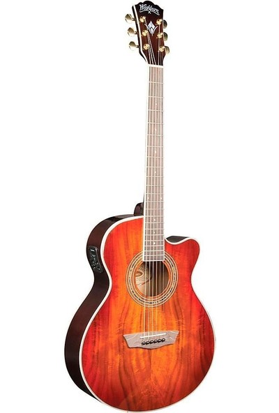 Washburn EA55G Festival Elektro Akustik Gitar Washburn EA55G Festival Elektro Akustik Gitar