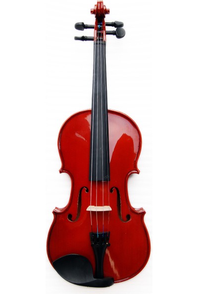 Başlangıç Kemanı 4/4 Kutulu, Ön Ladin, Arka ve