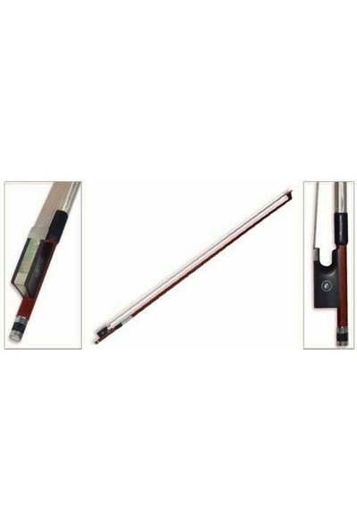 Valencia VABW300 Viola Yayı