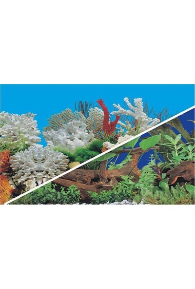 Naturel Color Akvaryum Arka Fon Manzara Çift Taraflı Mercan Bitki 50 cm 1 m Naturel Color Akvaryum Arka Fon Manzara Çift Taraflı Mercan Bitki 50 cm 1 m