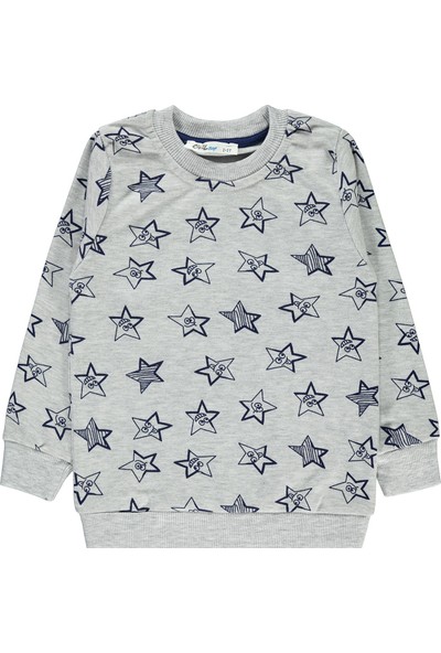 Civil Boys Erkek Çocuk Sweatshirt 2-5 Yaş Gri