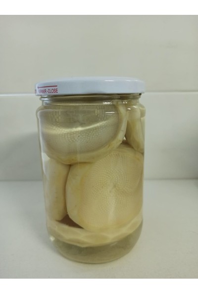 Yurtsever Özel Enginar Turşusu 800 gr Yurtsever Özel Enginar Turşusu 800 gr