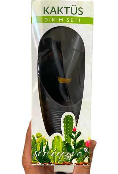 Bitki Fidanım Kaktüs Dikim Seti 4 Parça