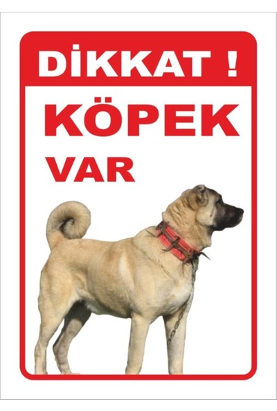 Neşeli Accessories Dikkat Köpek Var Uyarı Ikaz ve Yönlendirme Levhası 25 x 35 cm