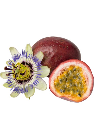 Becos Çarkıfelek Meyvesi (Passiflora) 1 kg Becos Çarkıfelek Meyvesi (Passiflora) 1 kg