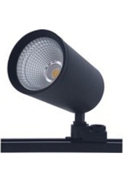 Gold Royal Gold Royal-Siyah Kasa Gün Işığı Ray Spot Işık 30 W Gold Royal Gold Royal-Siyah Kasa Gün Işığı Ray Spot Işık 30 W
