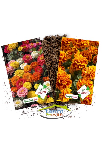 Arzuman 2'li Süs Bitkileri Tohum Paket (Zinna Çiçeği-Karagöz)