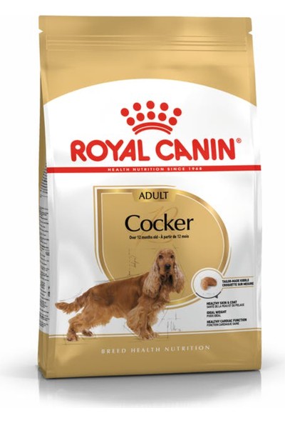 Royal Canin Cocker Yetişkin Köpek Maması Irka Özel 3 kg Royal Canin Cocker Yetişkin Köpek Maması Irka Özel 3 kg