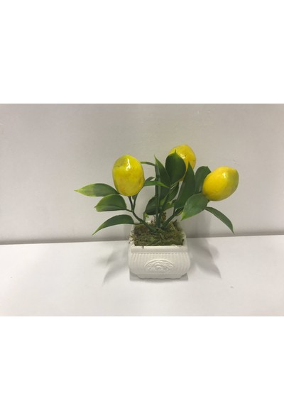 Söz İthalat Kare Sunumluk Yapay Meyve