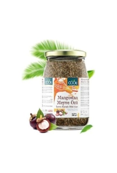 Cool Mangostan Meyve Özü Çayı 280 gr