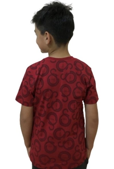 Galatasaray Çocuk Lisanslı Armalı Tshirt