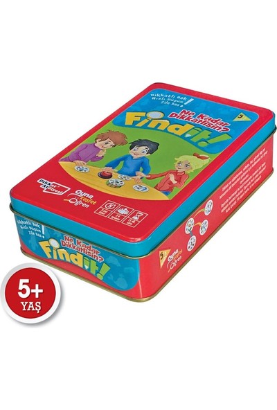 Dikkat Atölyesi Yayınları Findit! Ne Kadar Dikkatlisin?