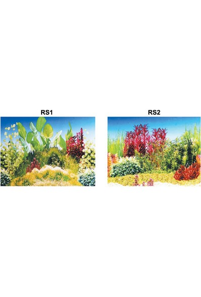 Kw Zone Pls.poster 48 cm 15 mt