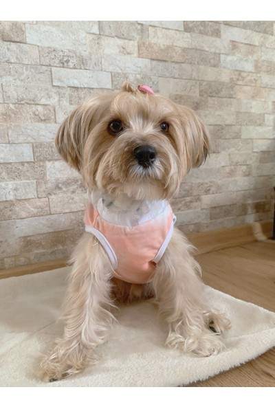 Buddy Store Kedi Köpek Kıyafeti Organik Kumaş Model Lila Xsmall Buddy Store Kedi Köpek Kıyafeti Organik Kumaş Model Lila Xsmall