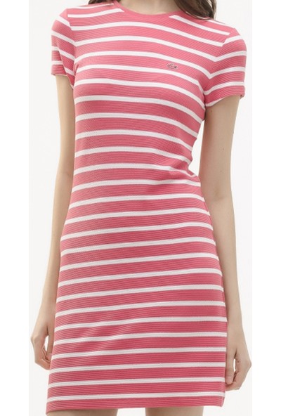 Lacoste Kadın Elbıse EF0820