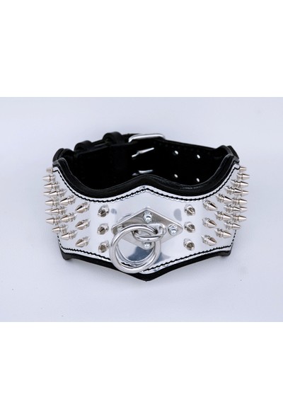 Ac Leather Asimetrik Köpek Boyun Tasması