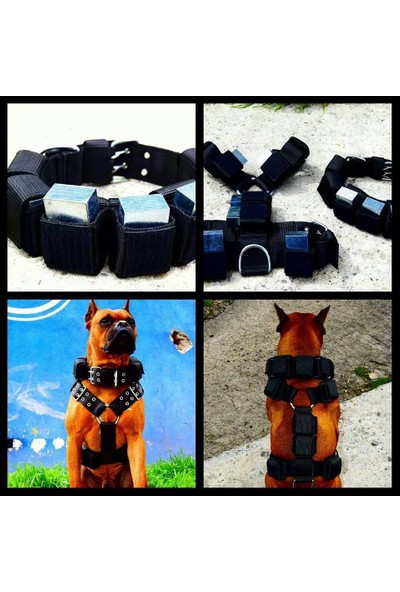 Ac Leather Kolon Ağırlık Tasması Set