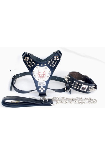 Ac Leather Gladyatör Set Köpek Tasması