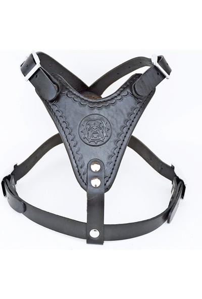 Ac Leather Küçük Irk Köpek Göğüs Tasması