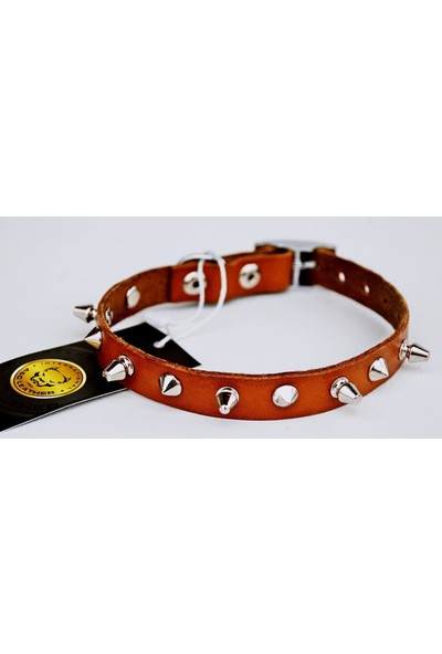 Ac Leather Boyun Tasması