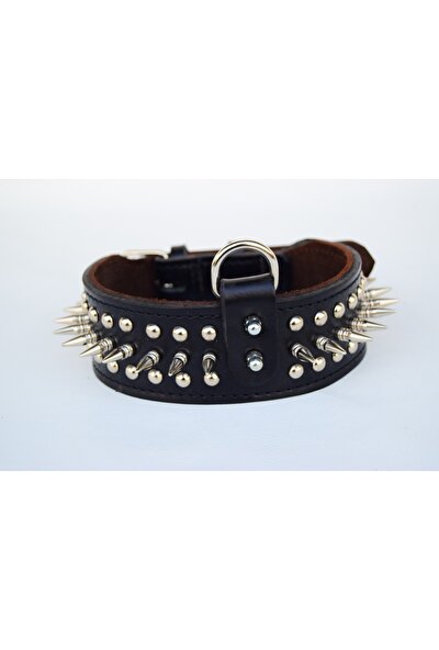 Ac Leather Extreme Köpek Boyun Tasmaları Ac Leather Extreme Köpek Boyun Tasmaları