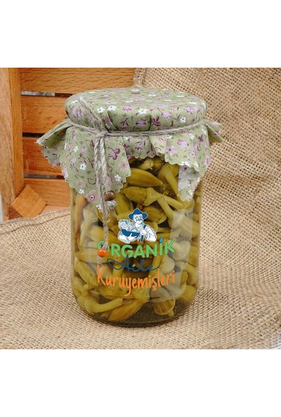 Organik Aile Bamya Turşusu 500 gr Organik Aile Bamya Turşusu 500 gr