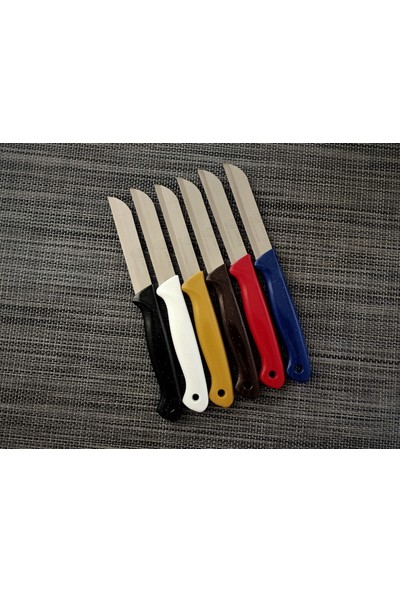 Solingen 6'lı Meyve Bıçağı Renkli-1