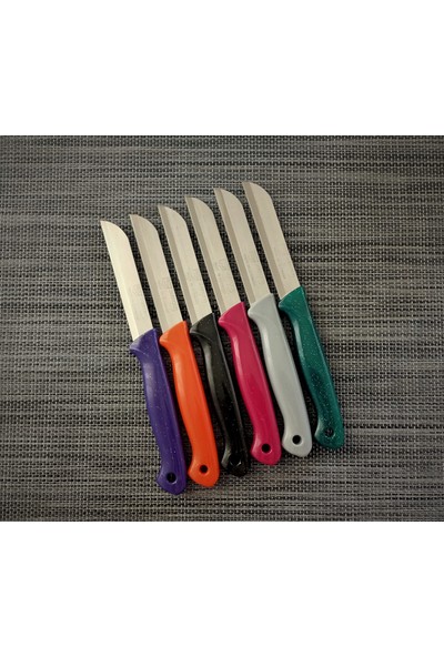 Solingen 6'lı Meyve Bıçağı Renkli-2