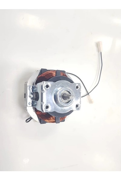 Arsan Zenit Süt Krema Makinası Motoru