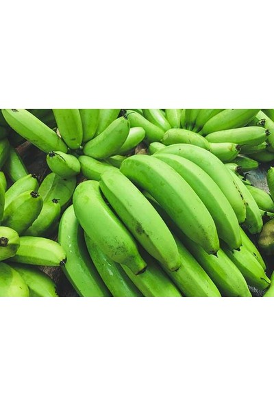 Mevsiminde Gelsin Anamur Muzu