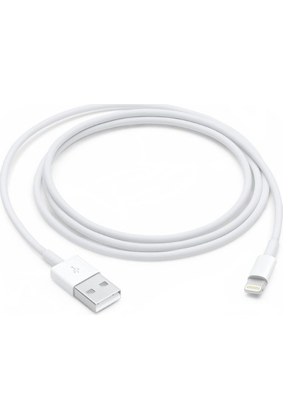 Doatech iPad Pro 9.7 Inç Lightning - USB Şarj & Veri Kablosu (1m)