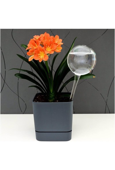 Urve Çiçek Saksı Sulama Aparatı Suluğu 2'li Urve Çiçek Saksı Sulama Aparatı Suluğu 2'li