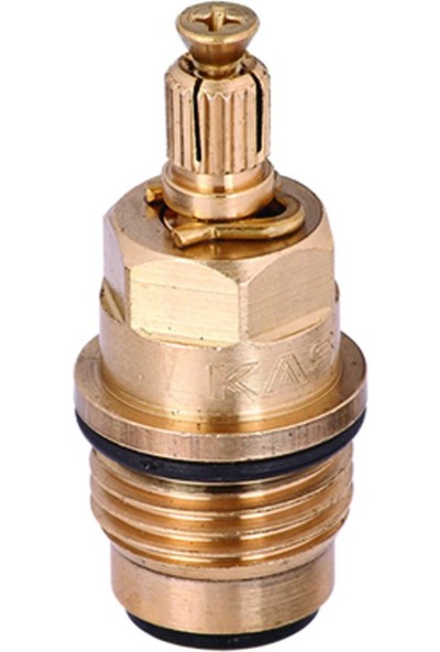 Kas Salmastra KAS9110011