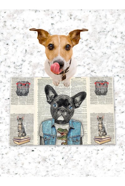 PatiPeti Köpek Kedi Mama ve Eğitim Altlığı Kaymaz Tabanlı PatiPeti Köpek Kedi Mama ve Eğitim Altlığı Kaymaz Tabanlı