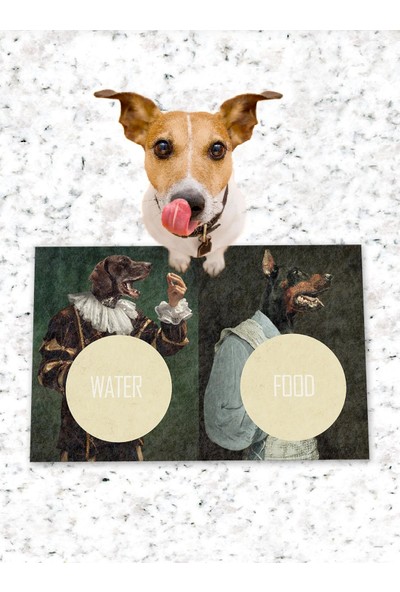 PatiPeti Köpek Kedi Mama ve Eğitim Altlığı Kaymaz Tabanlı PatiPeti Köpek Kedi Mama ve Eğitim Altlığı Kaymaz Tabanlı