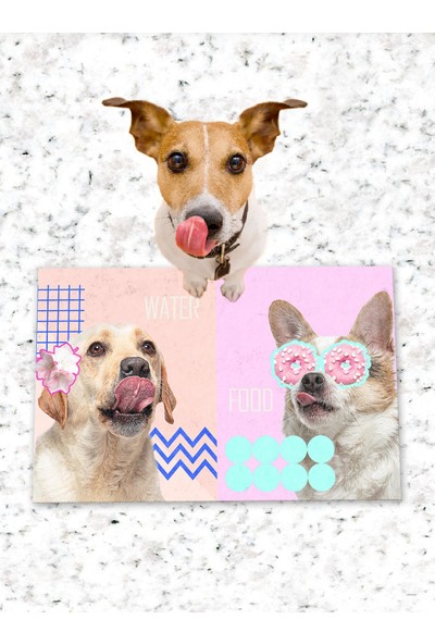 PatiPeti Köpek Kedi Mama ve Eğitim Altlığı Kaymaz Tabanlı PatiPeti Köpek Kedi Mama ve Eğitim Altlığı Kaymaz Tabanlı