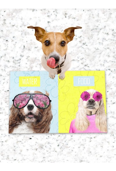 PatiPeti Köpek Kedi Mama ve Eğitim Altlığı Kaymaz Tabanlı PatiPeti Köpek Kedi Mama ve Eğitim Altlığı Kaymaz Tabanlı