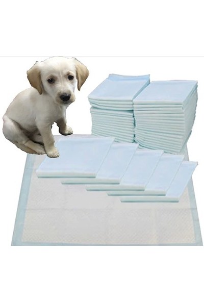 Flexilife Köpek Çiş Pedi Flexilife 60X90 cm 1 Adet