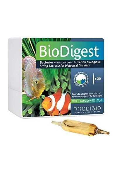 Prodibio Biodigest 1 Ampül