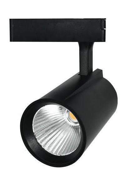 Taşkın LED 30 W Ray Spot Beyaz Kasa