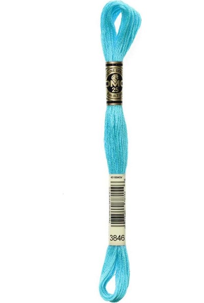 Dmc Muline -Goblen Nakış Ipiliği 8 Metre 3846