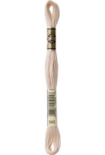 Dmc Muline -Goblen Nakış Ipiliği 8 Metre 543