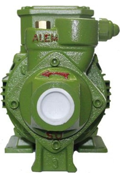 Alem Bertola Su 0,50 Hp 037 Kw 1'' Monofaze 220 Volt Su Pompası Alem Bertola Su 0,50 Hp 037 Kw 1'' Monofaze 220 Volt Su Pompası
