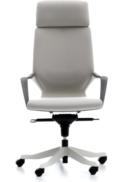 Bürotime Swan Yönetici Koltuğu Açık Gri Bürotime Swan Yönetici Koltuğu Açık Gri