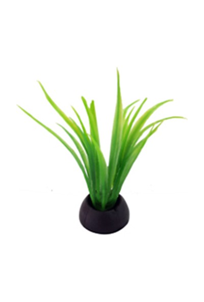 Eurogold Plastik Bitki 5 cm 2